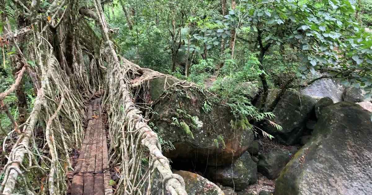 Bridges of Memory