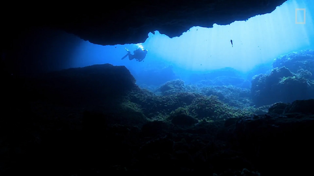 Exploring Our Pristine Seas