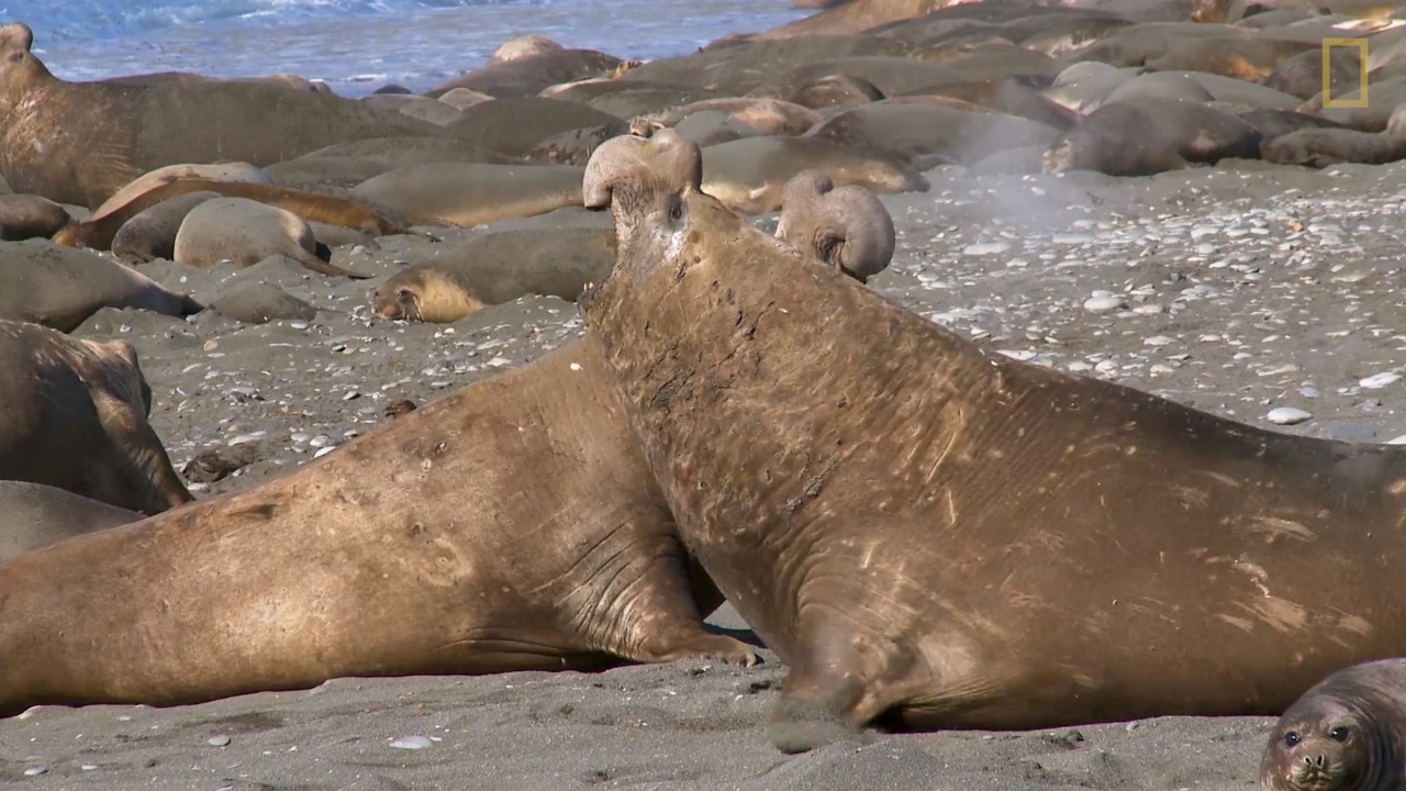 Modern Explorer | Seal of Approval