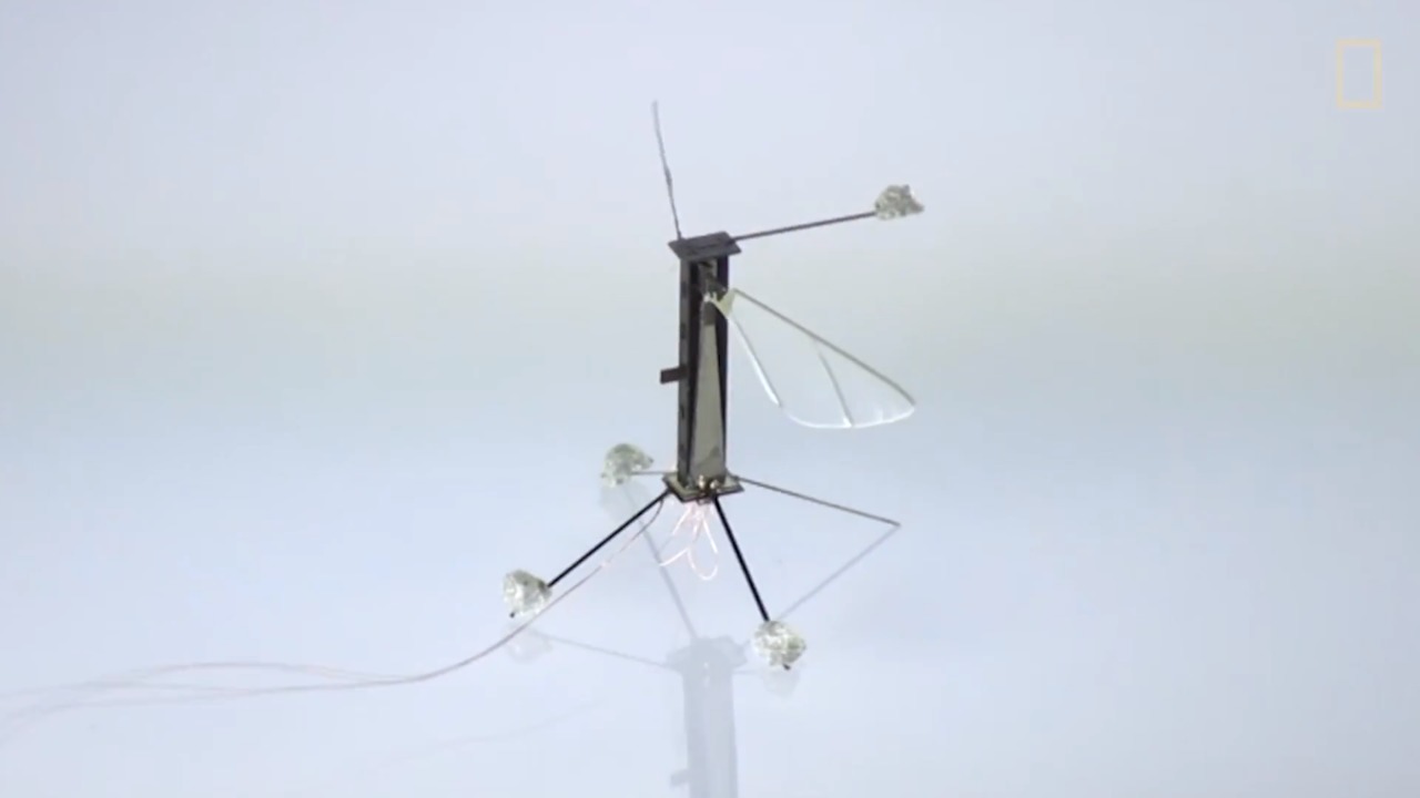 Flight of the RoboBees