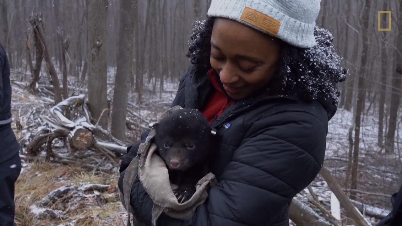 Exploring with GIS: Tracking Black Bears