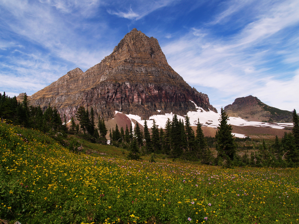 Wilderness