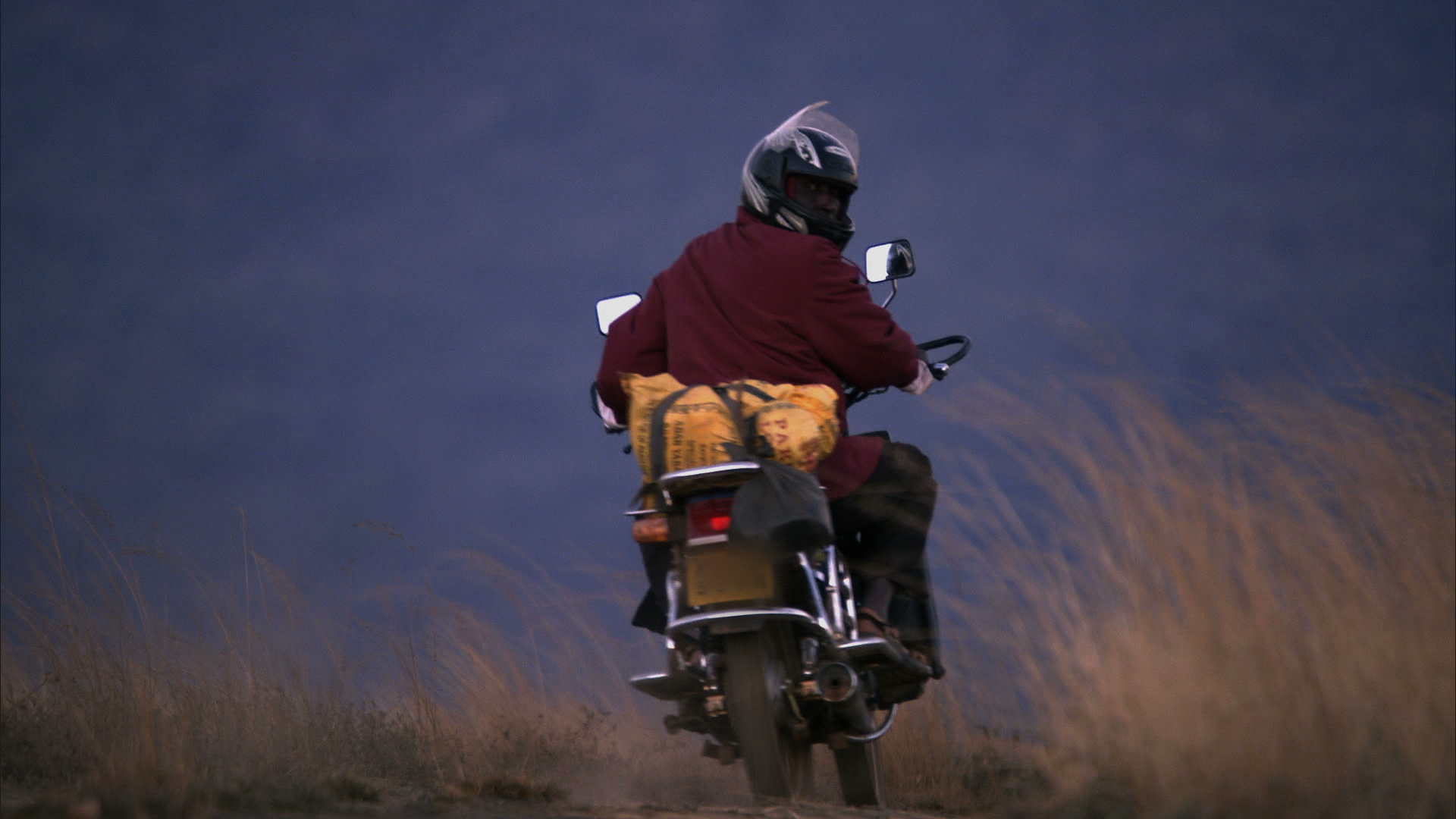 Trafficking Poached Ivory