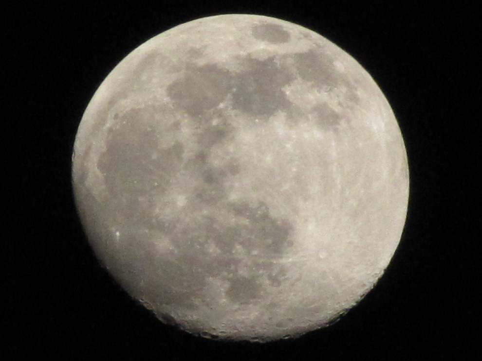 Moon Moon