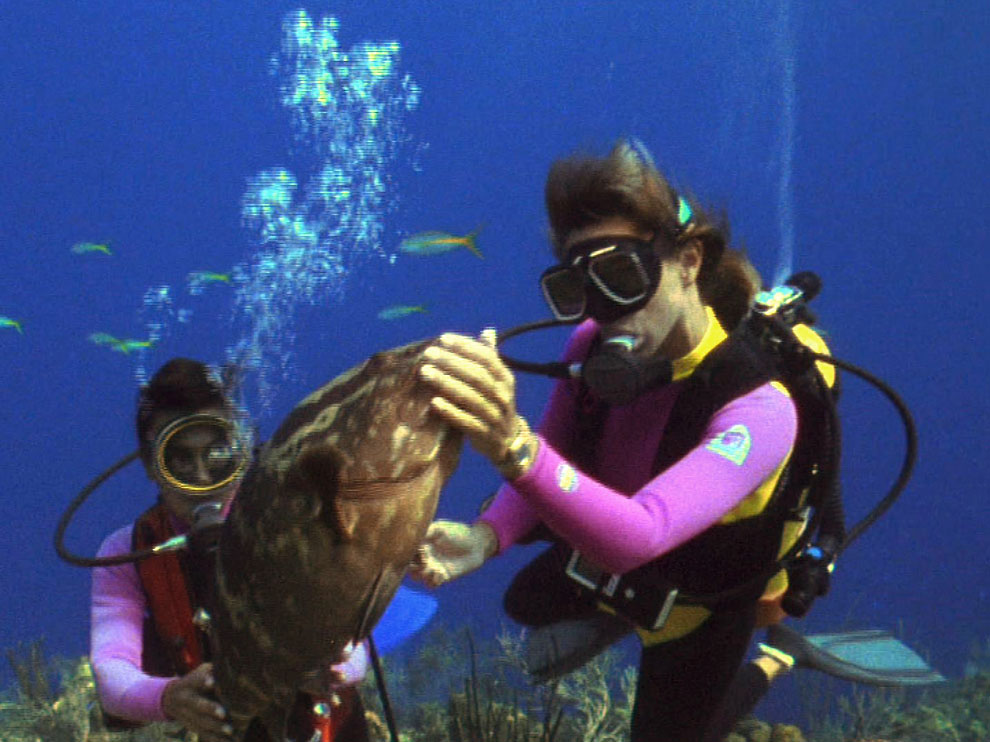 How to Care for the Ocean