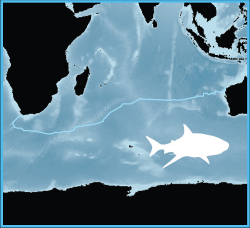 Long-Distance Ocean Travels