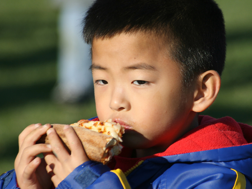 Omnivore Omnivore