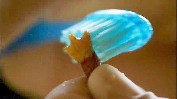 Clues to Mayan Prosperity