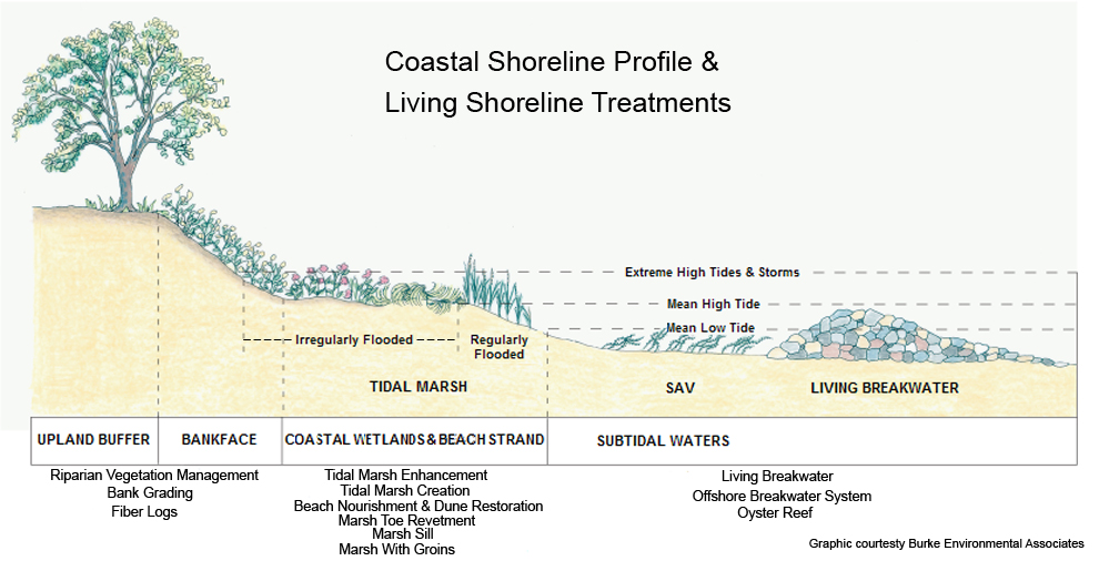 Shoreline Diagrams 5,300+ Drawing Of The Shoreline Stock