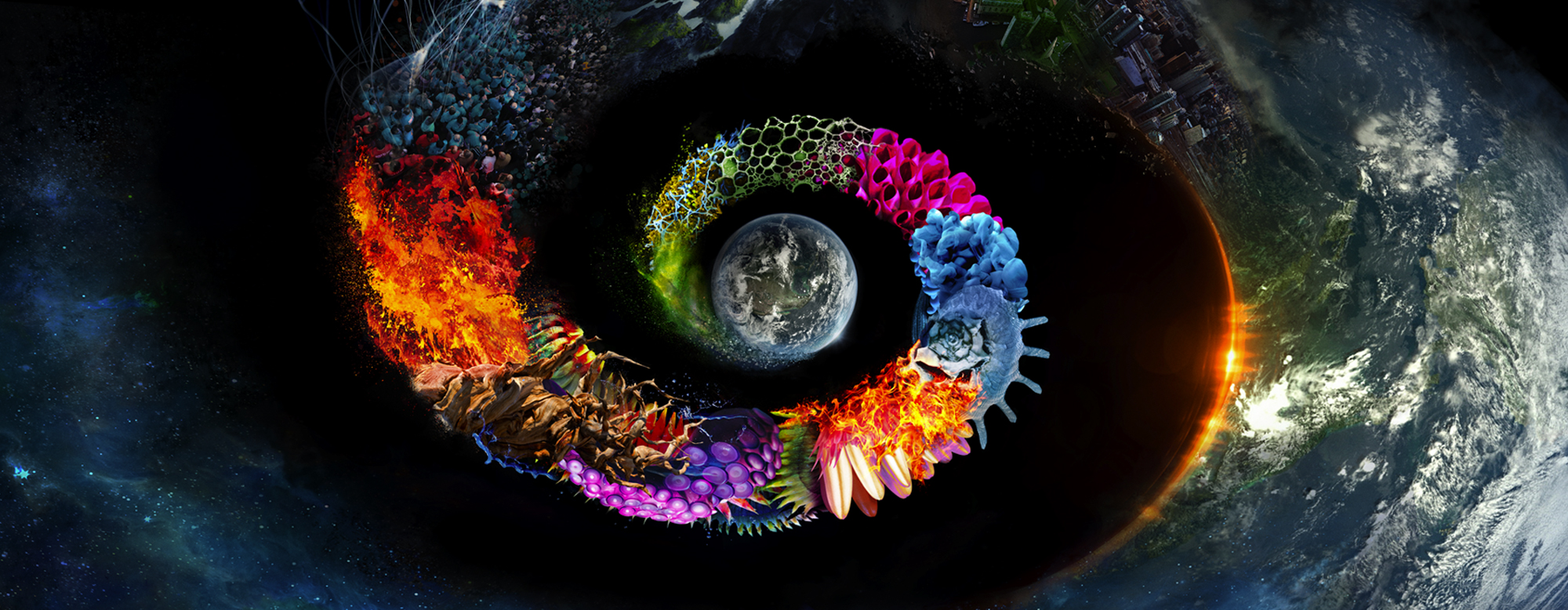 One Strange Rock Curriculum Guide