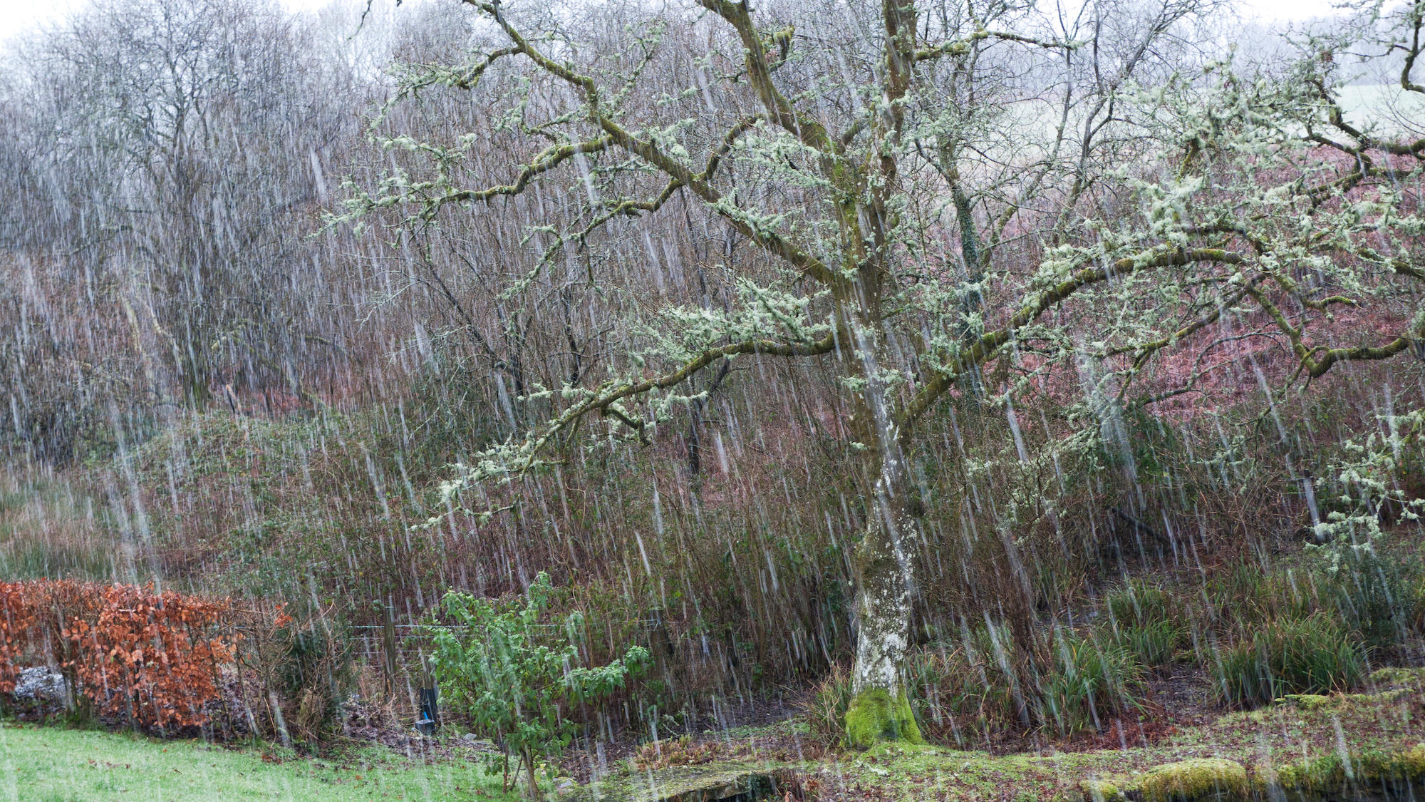 Sleet Sleet