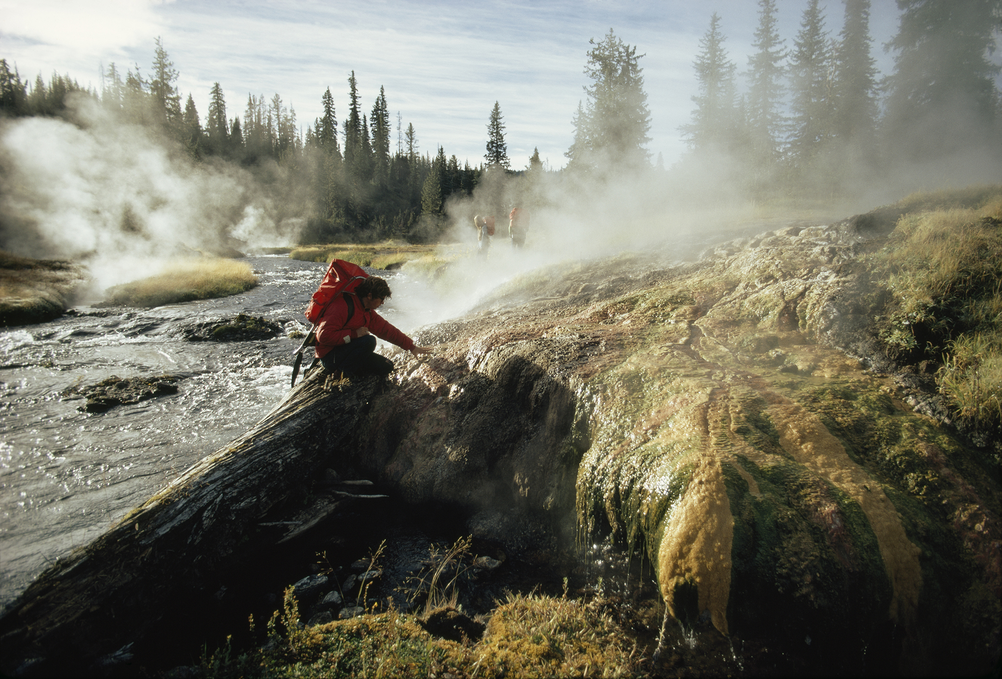 National Geographic39s Guide To The Yellowstone Yellowstone National