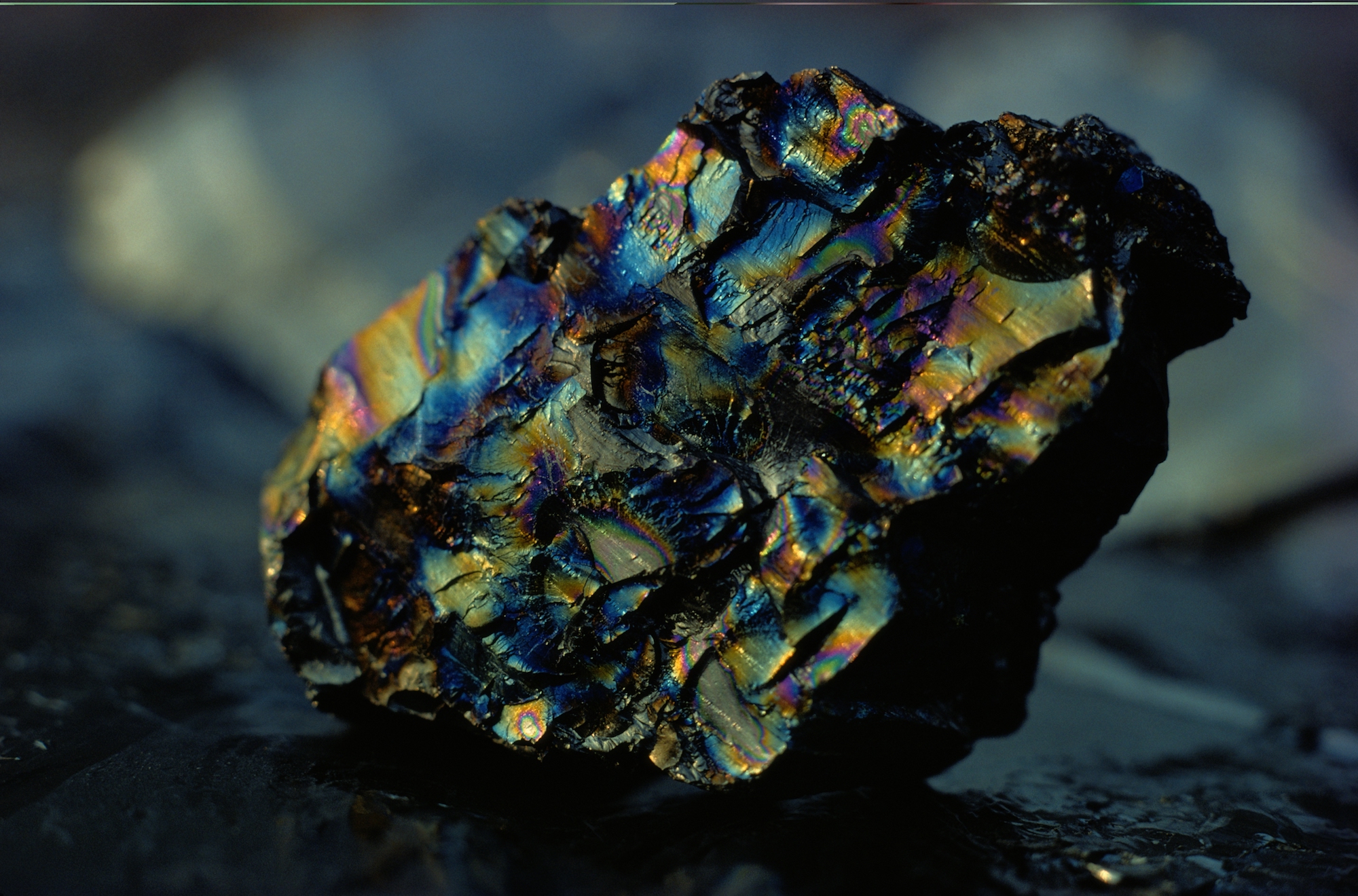 Coal Coal