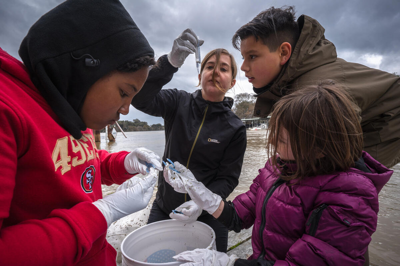 Exploring Multiple Perspectives