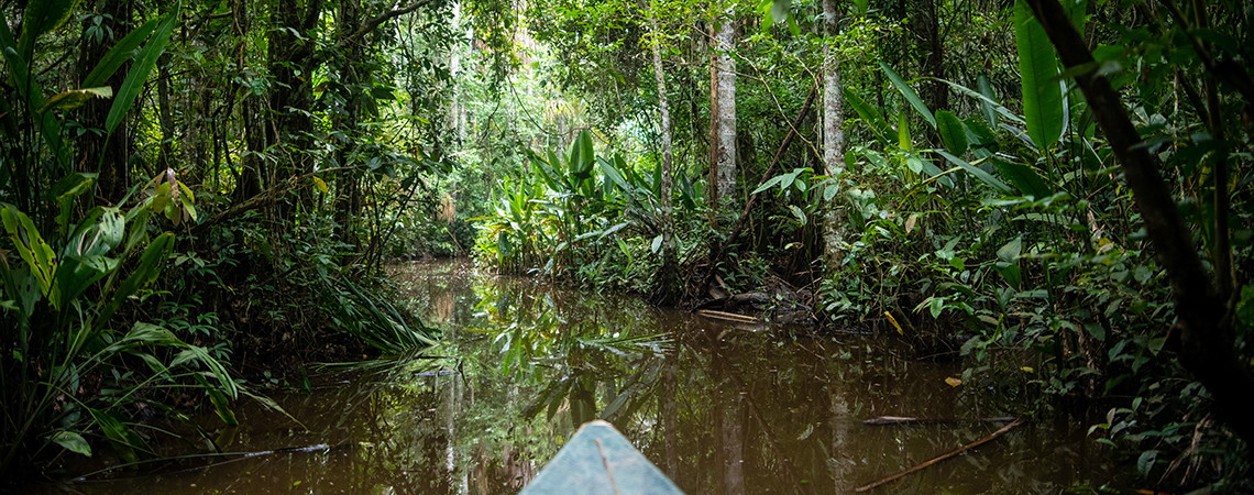 National Geographic Society Launches Groundbreaking Multi-year ...