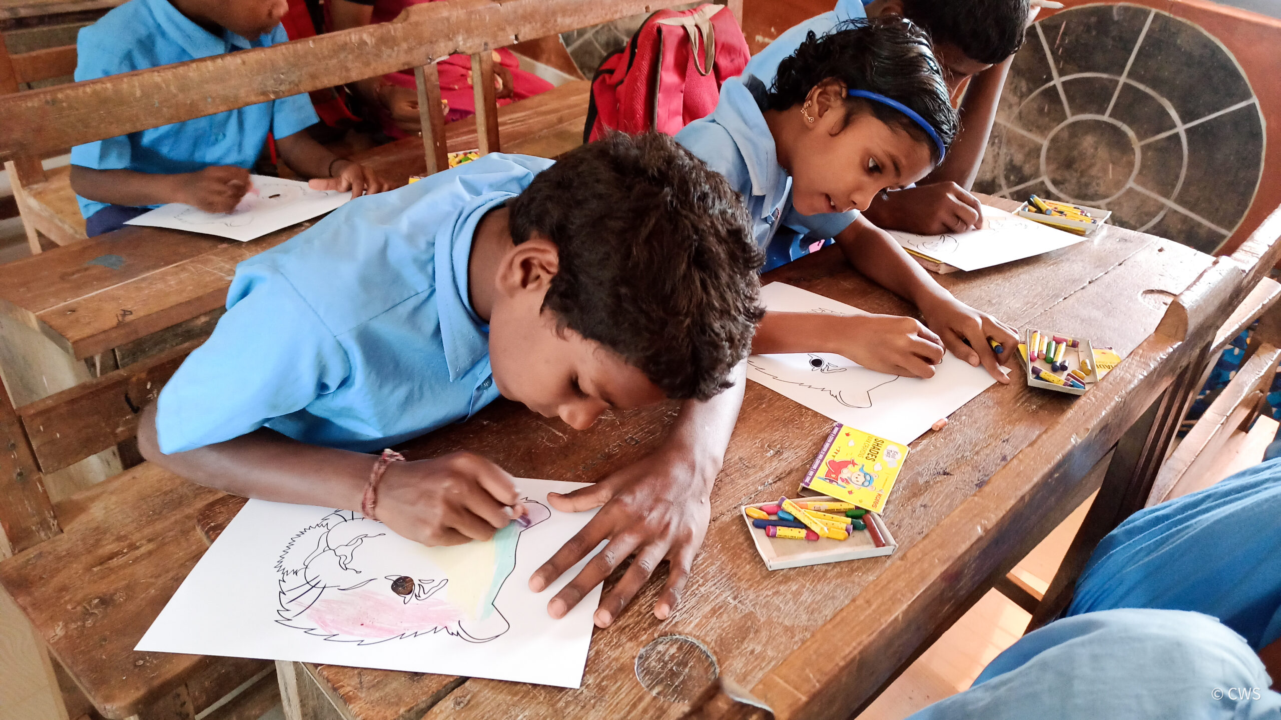 National Geographic Explorer Dr. Krithi Karanth Expands Wild Shaale ...