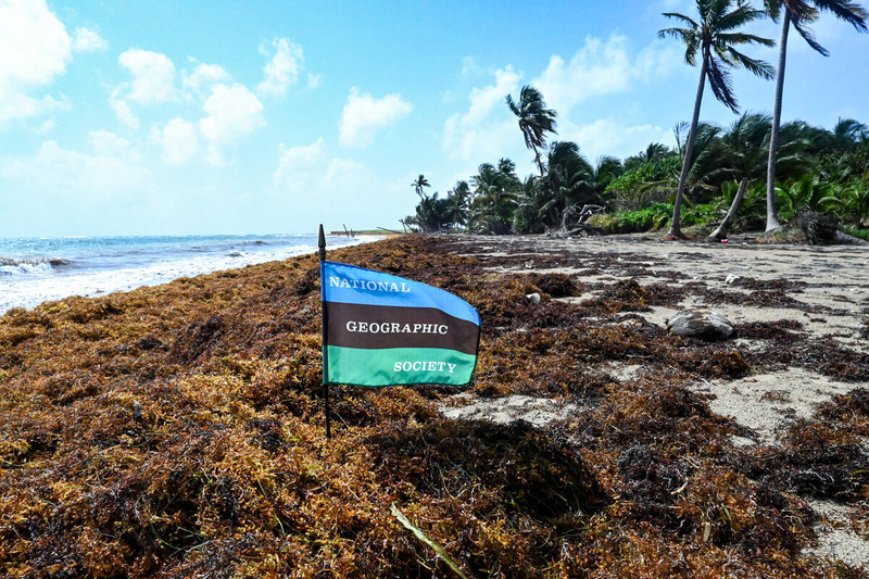 National Geographic Explorers Drive Change Through Collaborative Grant ...