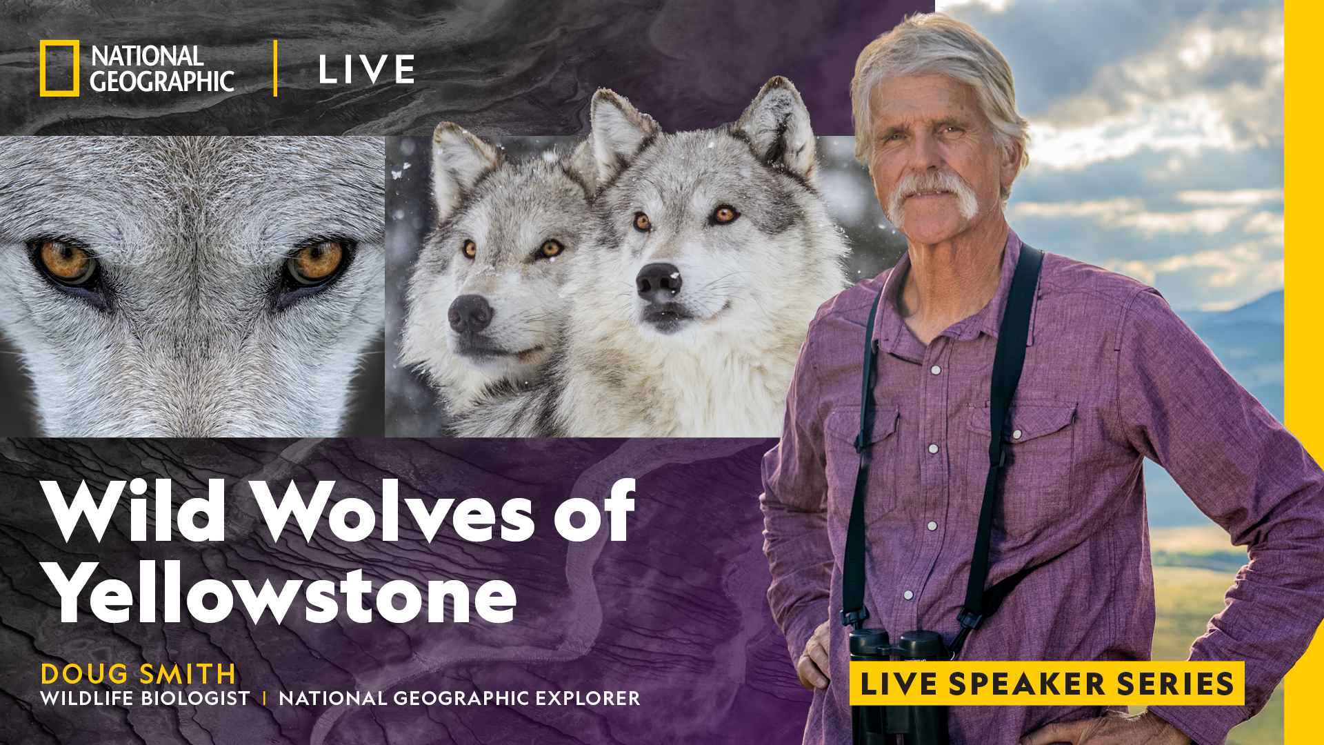 Wild Wolves of Yellowstone | National Geographic Live