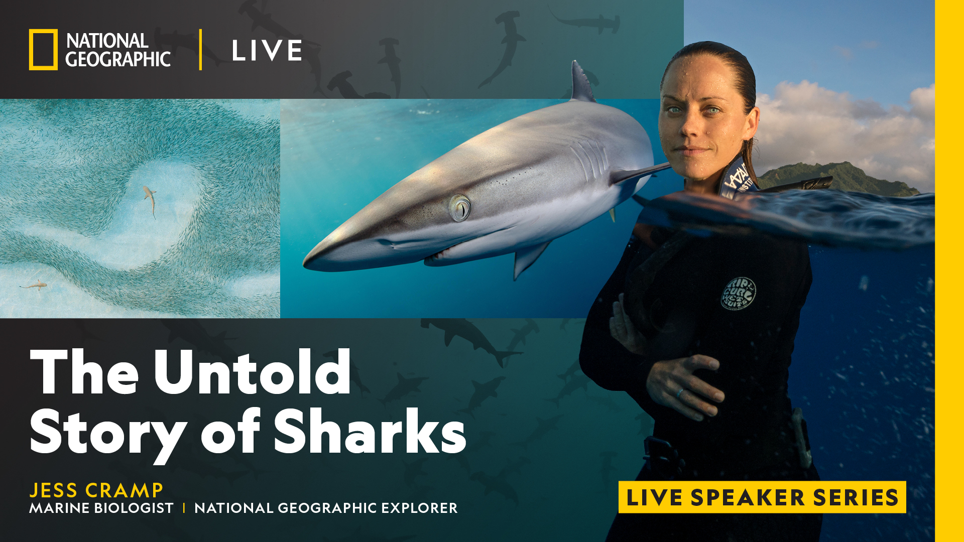 The Untold Story of Sharks | National Geographic Live