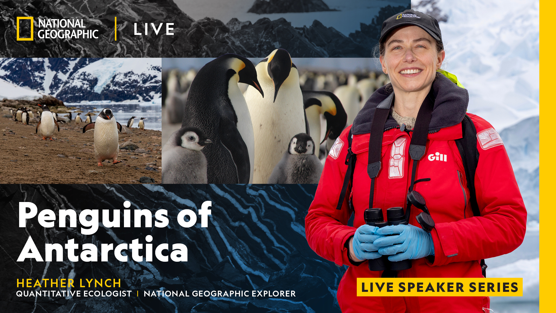 Penguins of Antarctica | National Geographic Live