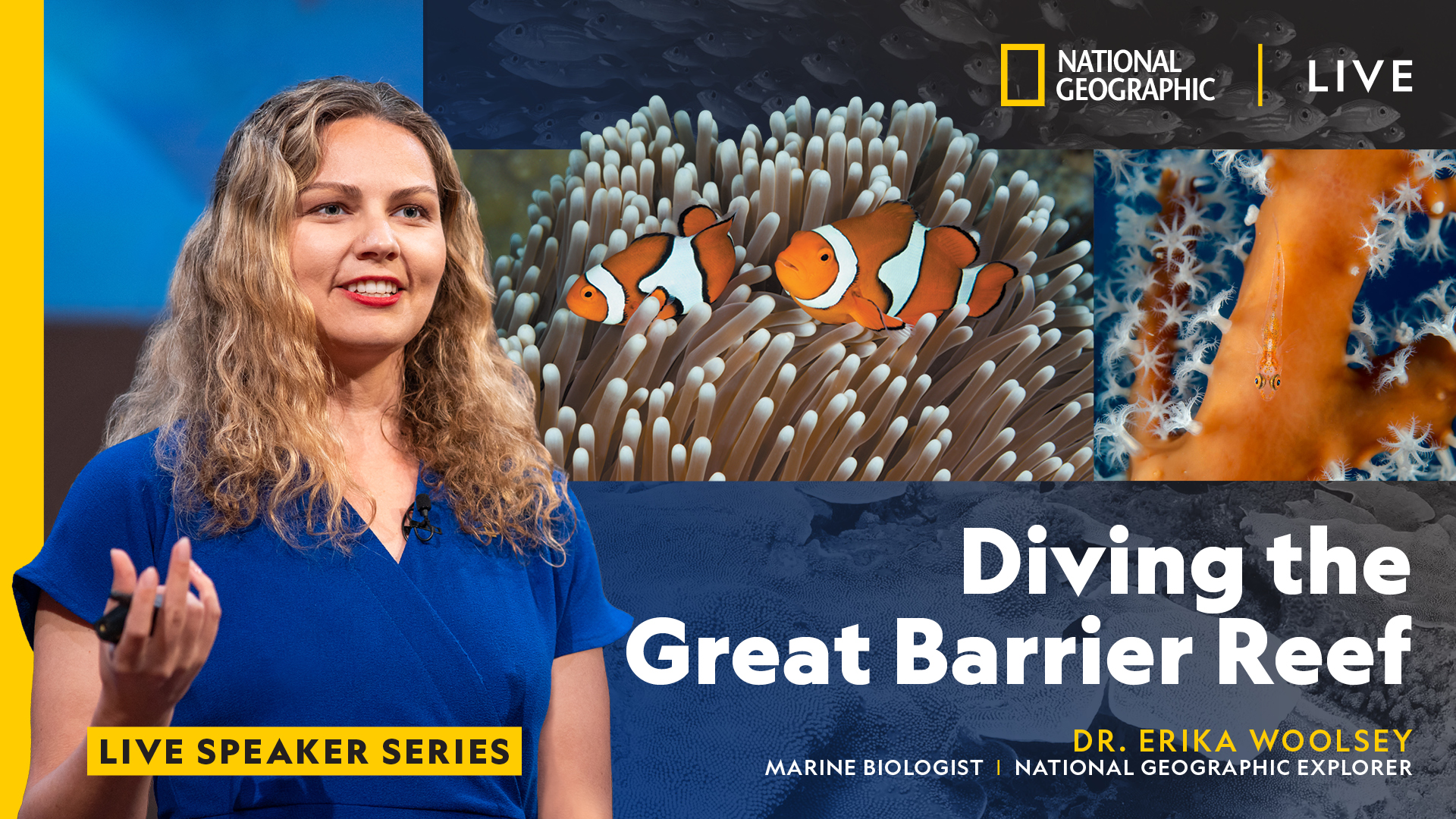 Diving the Great Barrier Reef | National Geographic Live