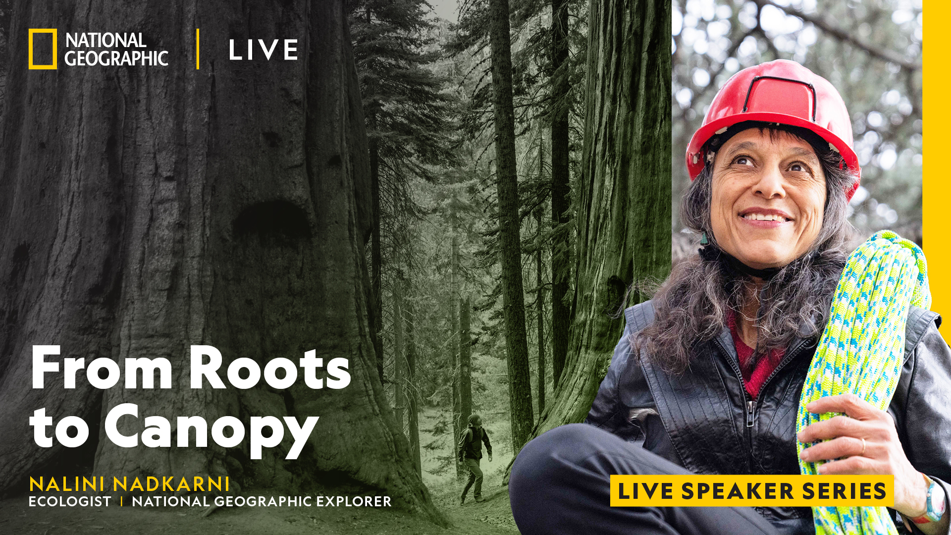From Roots to Canopy | National Geographic Live